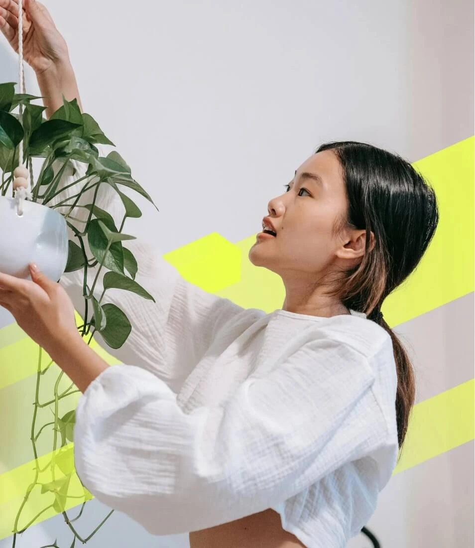 Online Conveyancing Solicitors | Muve